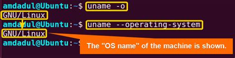 The Uname Command In Linux Practical Examples The Uname Command In Linux Practical Examples