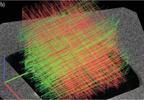 Scientists Develop 3d Printed Brain Phantom For Mri Research