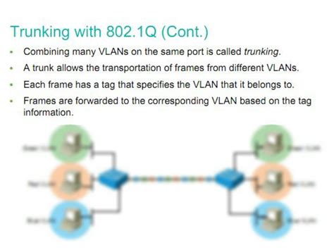 SOLUTION Module Lesson Implementing Vlans And Trunks Studypool