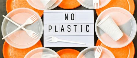 Harmful Effects Of Plastic On Humans