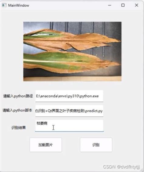 132基于深度学习的识别 qt界面之叶子疾病检测 检测界面qt csdn博客