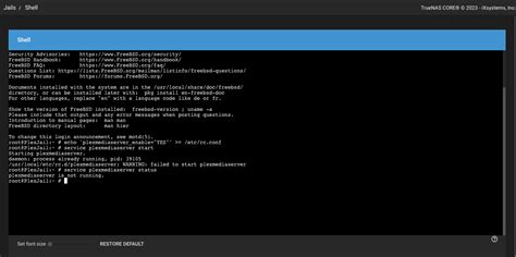 Cant Open The Plex Web Interface Truenas Community