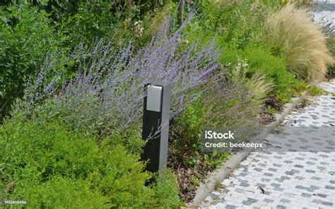 잔디의 마른 잎은 바람에 펄럭이고 머리처럼 보입니다 감속 범프에서 거리에서 꽃 침대mulching 자갈 가을에줄무늬 대초원 꽃침대가 있는 현대적인 회색 외관 가로등에 대한