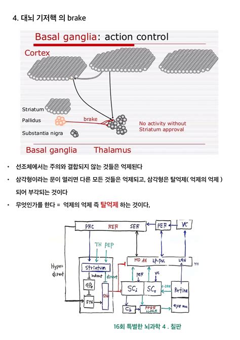 수업후기 제 184회 목요특강 학습의 재발견 수업후기