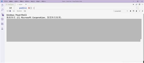 vs code无法启动怎么解决 程序员大本营