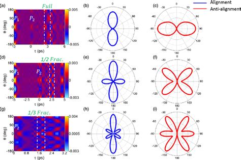 Quantum Simulation Of Time Dependent Angular Distributions Of Full