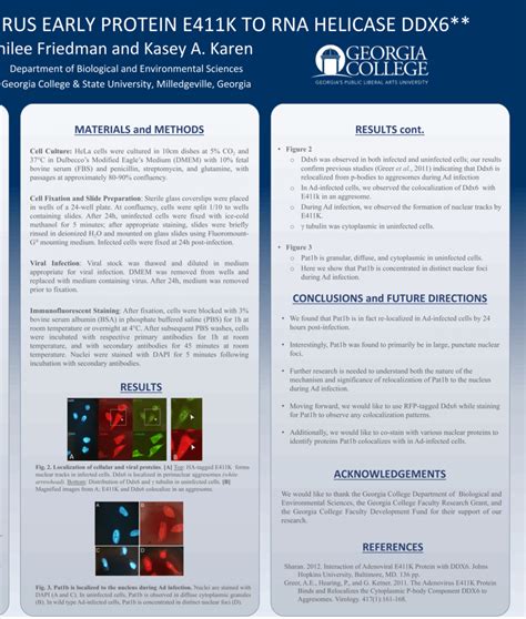 Map Of Adenovirus Genome Early Genes Begin With E And Late Genes With