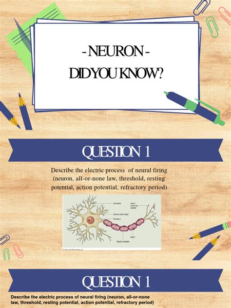 Neuron Individual Task Pdf