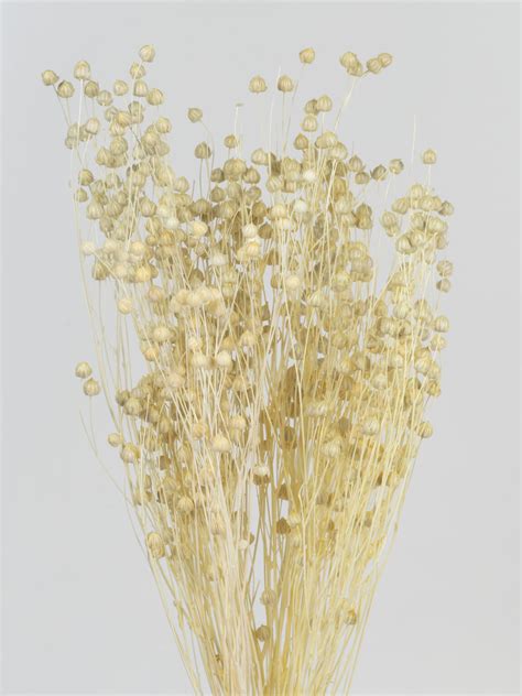 Льон вибілений купити за ціною 179 грн • Dfb Elements Україна