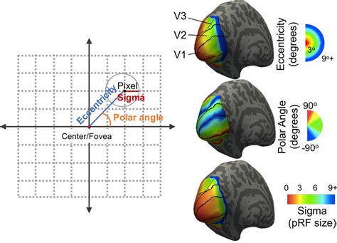 Schematic Representation Of Positional Properties Of Each Pixel Left