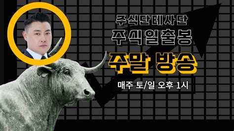 Live 주식단테사단 주식일출봉 탄탄한 기초로 꾸준한 수익내기 주식단테 용사부 주식강의 주식라이브 주식투자