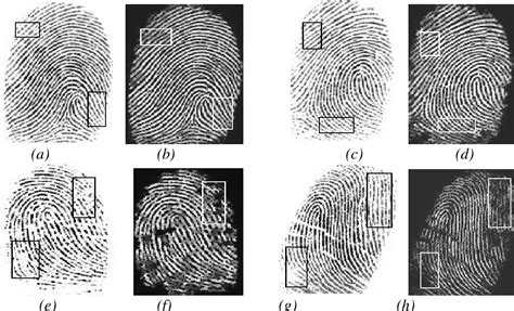 Figure 4 From Fingerprint Image Enhancement Using Morphological Transform Semantic Scholar