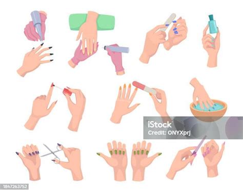여자의 손 매니큐어 폴란드어 손톱 정확한 벡터 만화 일러스트 0명에 대한 스톡 벡터 아트 및 기타 이미지 0명 개념 관목 Istock