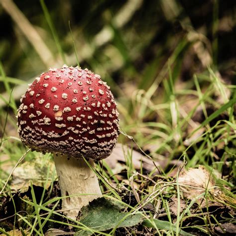 The Small Quarry Jason Smalley