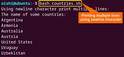 How To Echo Multiline To A File In Bash Methods LinuxSimply