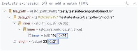 memory disassembly hex views rustrover documentation