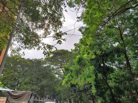 Xiaomi Mi A Review Gadgets