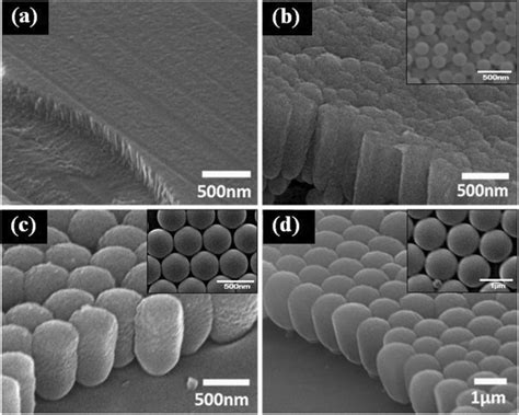 Cross Sectional View Of Silicon Nanopillar Arrays Deposited On Download Scientific Diagram
