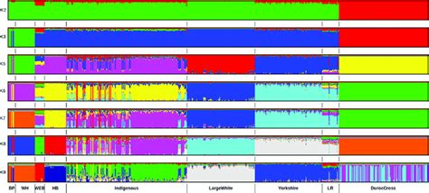 Admixture Plot Representing Estimated Membership Coefficients For