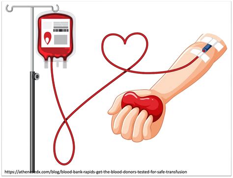 1 17 🤔why Dont We Transfuse To A Normal Hemoglobin In Many Cases We Aim To Restore Values To