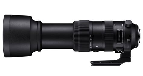 Sigma 60-600mm f/4.5-6.3 DG OS HSM Sport : Caratteristiche e Opinioni ...