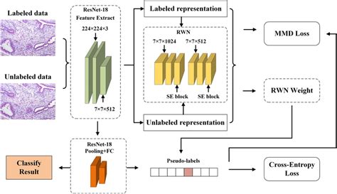 The Proposed Semi‐supervised Model For Breast Histopathology Image Download Scientific Diagram