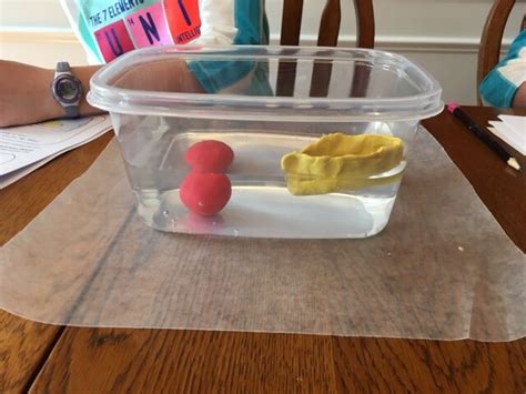 Science Hubbard S Cupboard