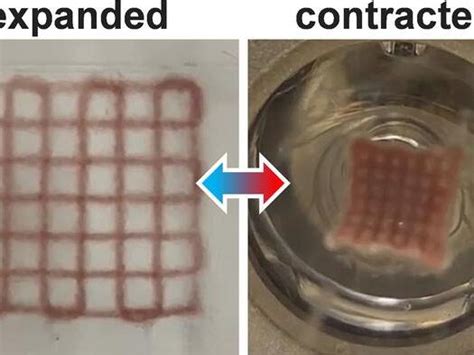 3d Printing Of Light Activated Hydrogel Actuators