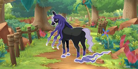 Pokemon Fan Shows Off Decades Old Coupons