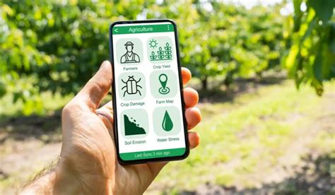 IoT In Agriculture Revolutionizing Farming Efficiency And Productivity