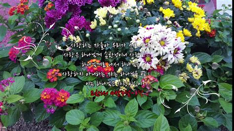 눈으로 사랑을 그리지 말아요 영원한 사랑 Youtube