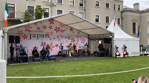 The Journey Of 100daysofcode Hennadev 85 By Hennas The Treehouse Mongodb Developer