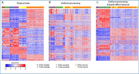 Enabling Cross Study Analysis Of RNA Sequencing Data RNA Seq Blog