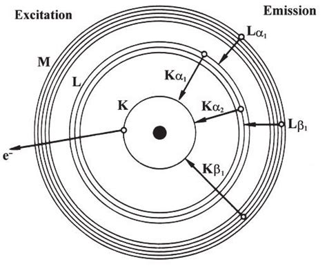Bohr S Atomic Model Download Scientific Diagram