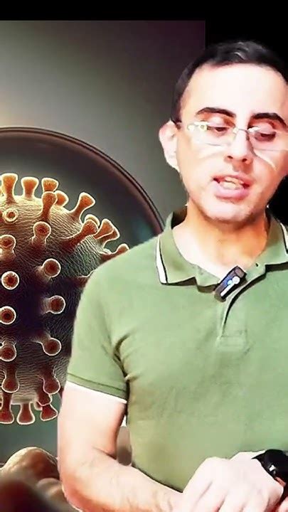 მაიმუნის ყვავილი 3 Youtube