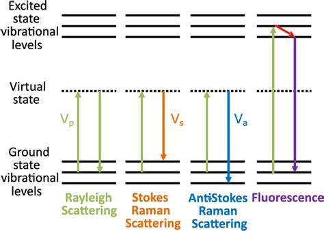 1 Energy Diagrams For Raman And Fluorescence Processes Download