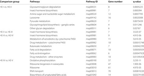 Summary Of Enriched Significantly Kegg Pathways Download Scientific