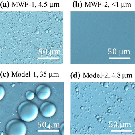 Oil Droplet Size And Distribution Of The Four Ow Emulsions Download