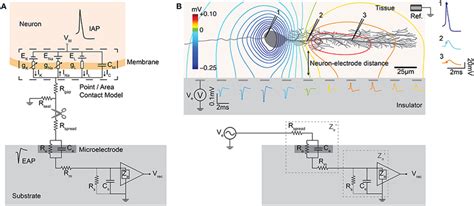 Mea Neuron Electrode Interface A The Classic Point Or Area Contact Download Scientific