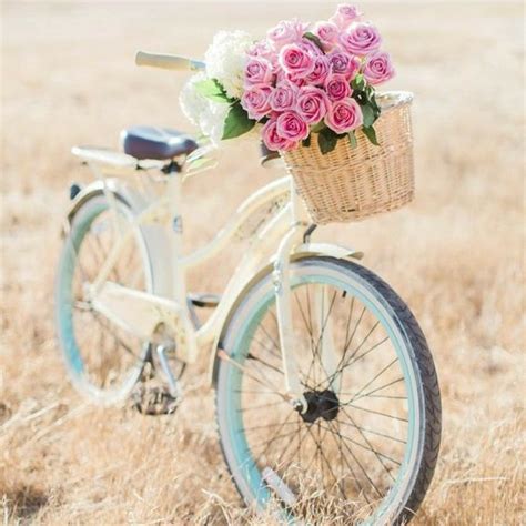 ყვავილების მაღაზია • T And A