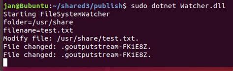 filesystemwatcher with a filter set to a specific file does not work on