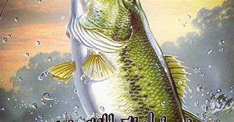 My Cover Photo For Ig And Other Social Media Apps Album On Imgur