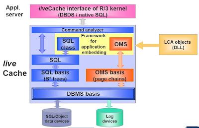 SAP BASIS Security Livecache Architecture