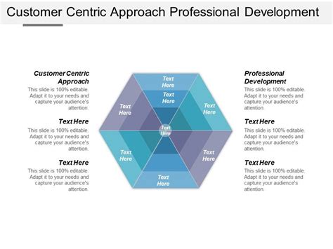Customer Centric Approach Professional Development Ppt Powerpoint Presentat