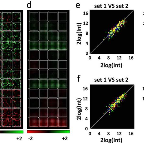 Performance Of Different Normalization Techniques Across A Range Of
