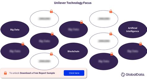 Unilever Plc Digital Transformation Strategies