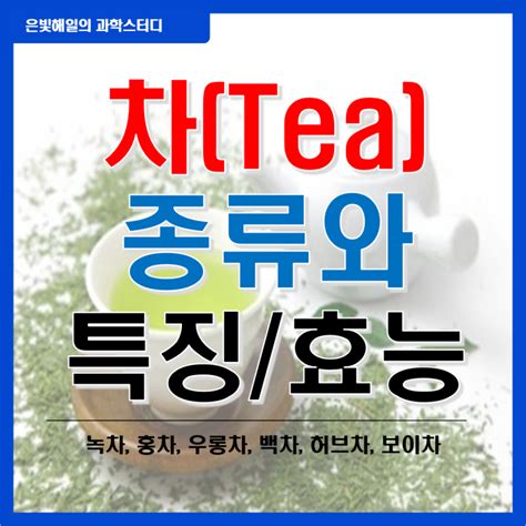 차tea의 종류와 효능 특성 1편녹차 홍차 우롱차 백차 허브차 보이차 네이버 블로그 차tea의 종류와 효능 특성 1편녹차 홍차 우롱차 백차 허브차 보이차 네이버 블로그