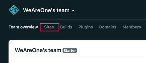 Cara Custom Domain Ke Netlify Domainesia