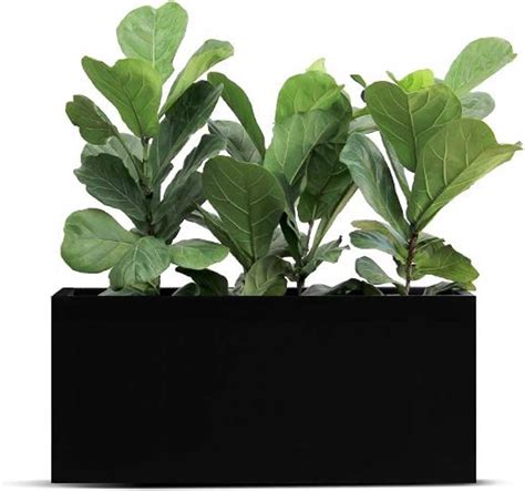 Generico Minimalist Rectangular Fibreglass Planter Pot