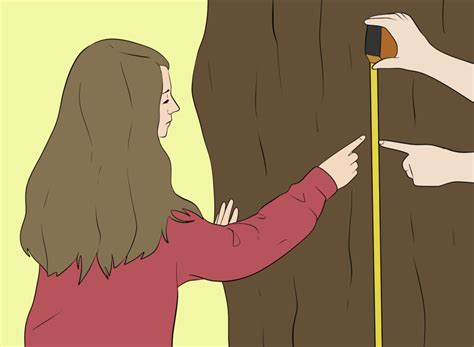 How To Tell The Age Of A Tree Without Cutting It Down